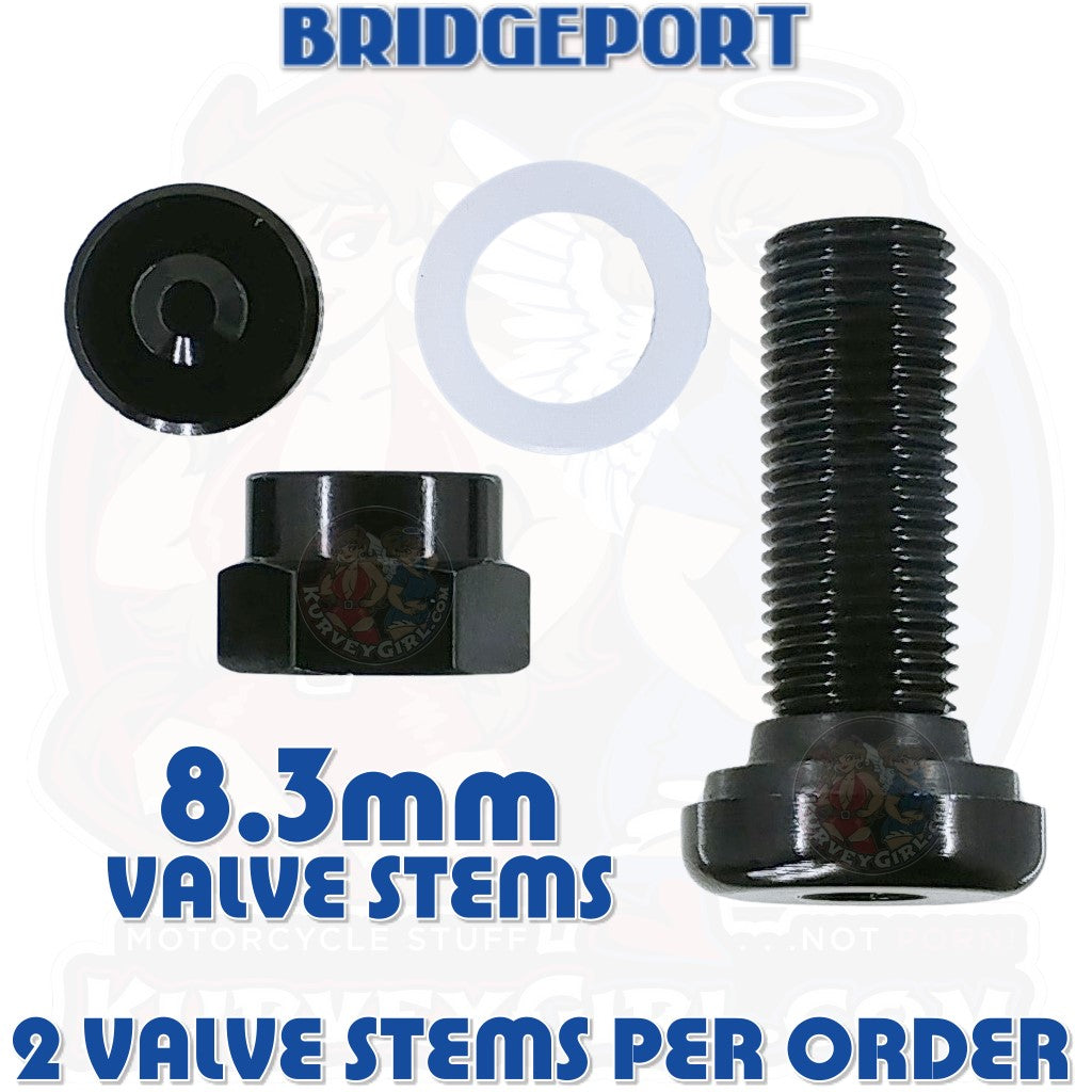 Aluminum 8.3mm Straight Racing Valve Stems - Black (2 pcs) – KurveyGirl