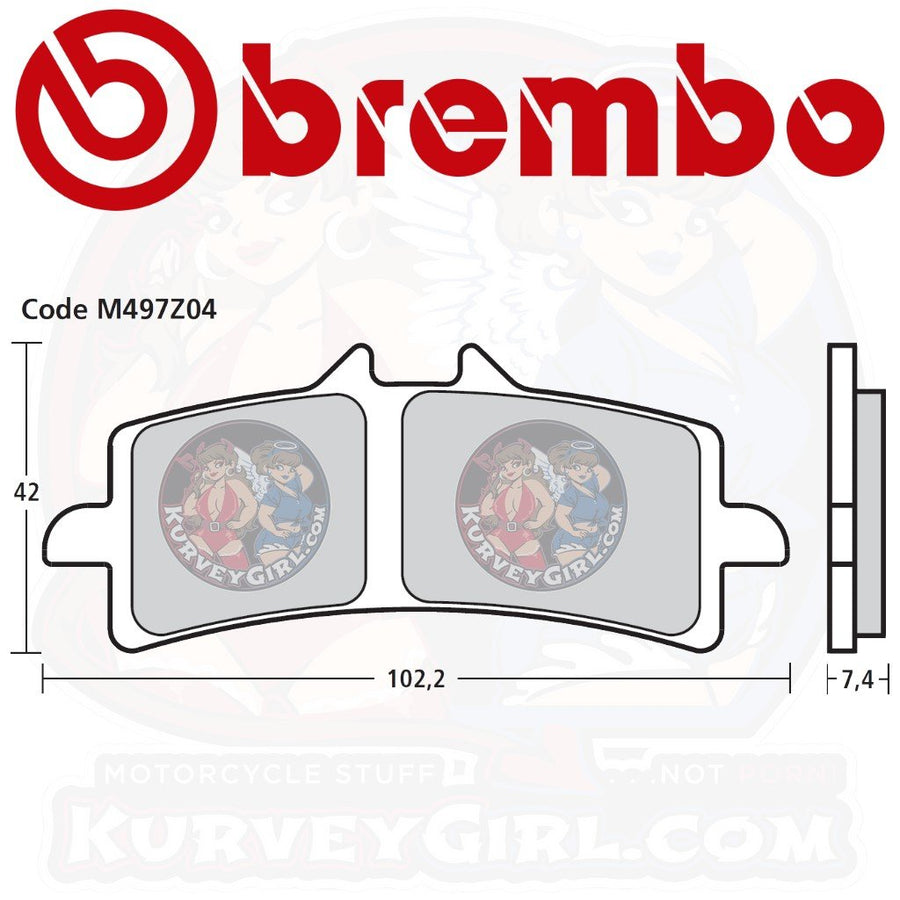 Brembo Z04 Brake Pads: 107A48639 / M497Z04 – KurveyGirl